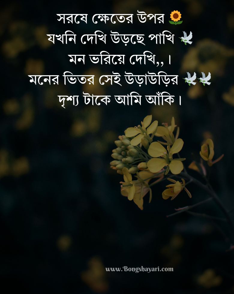 ৩০+ সেরা সরিষা ফুল নিয়ে ক্যাপশন স্ট্যাটাস উক্তি - Sorisha Ful Caption